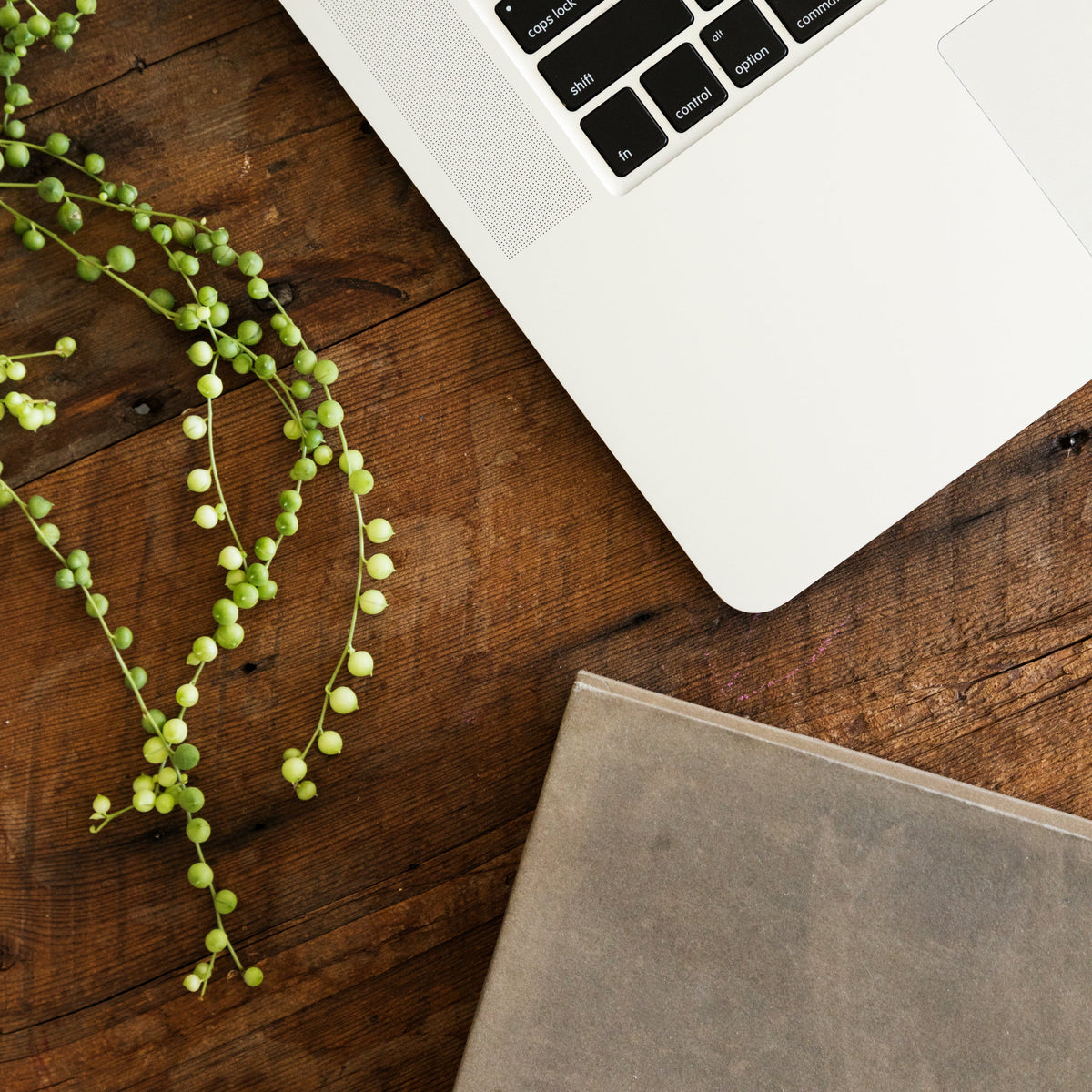 LAPTOP – LF Gadgets